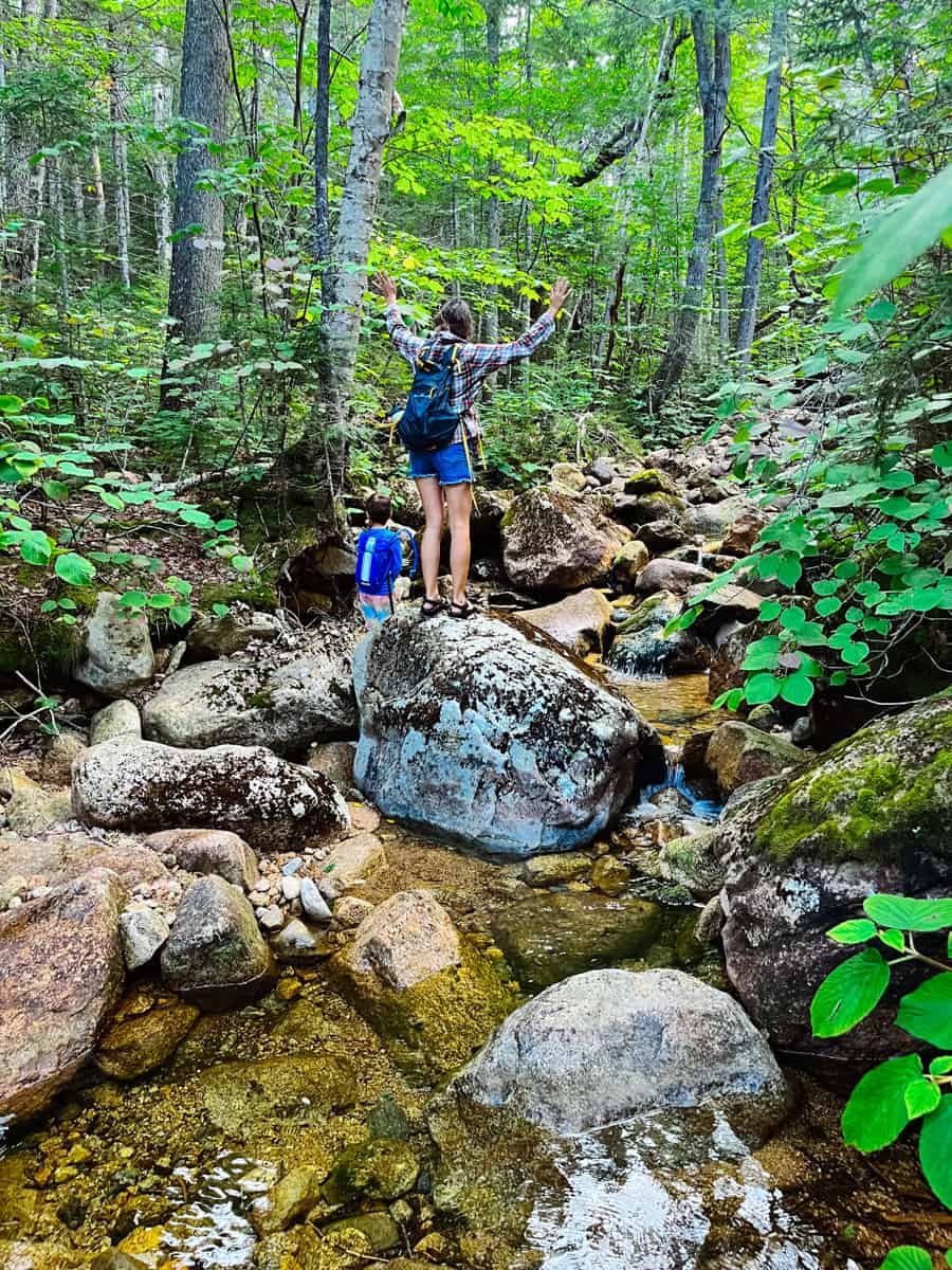 Must-Have Hiking Gear for Kids: A Guide to the Best Gear for Your ...